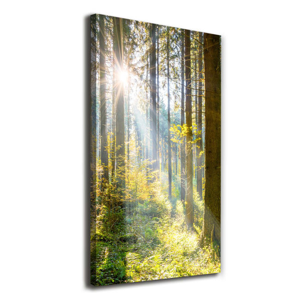 Union Rustic Sonne im Wald - Kunstdrucke auf Leinwand | Wayfair.de
